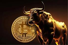 Amparator Best Free TikTok Porn Creator Videos | Waptap